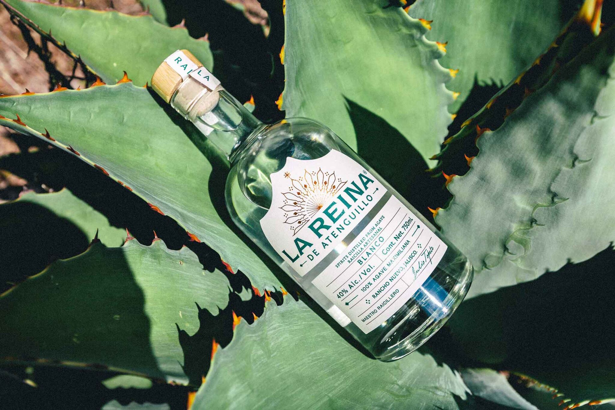 Raicilla – Atoto Imports Incorporated